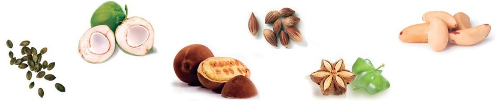 Concepta Ingredients – Organis